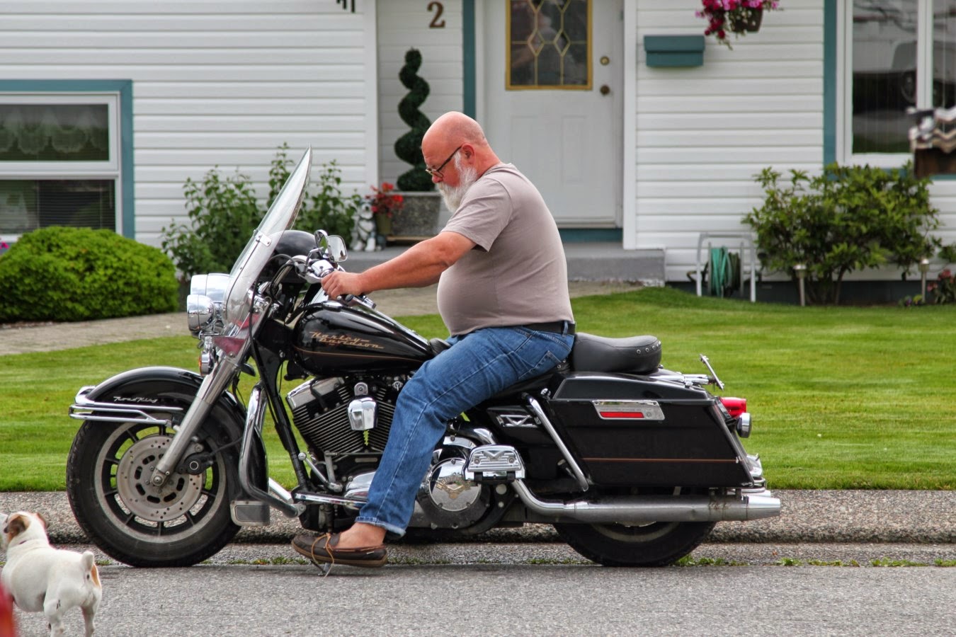 A testy bastard, at times.: Old men and motorcycles